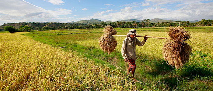 Aplikasi Android ini ingin jadi Facebooknya petani Indonesia