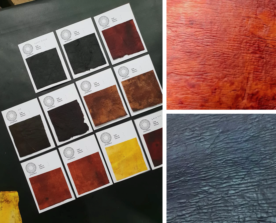 Mycotech Startup Indonesia yang Ubah Jamur jadi Kulit Raih Pendanaan