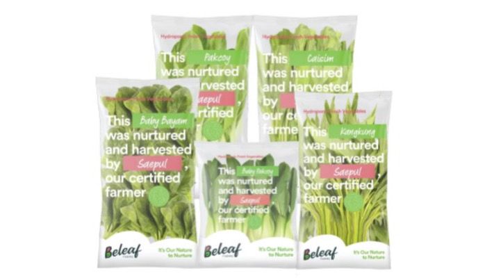 Startup Agritech Beleaf Raup Rp30,9 M dari Alpha JWC dan Lainnya