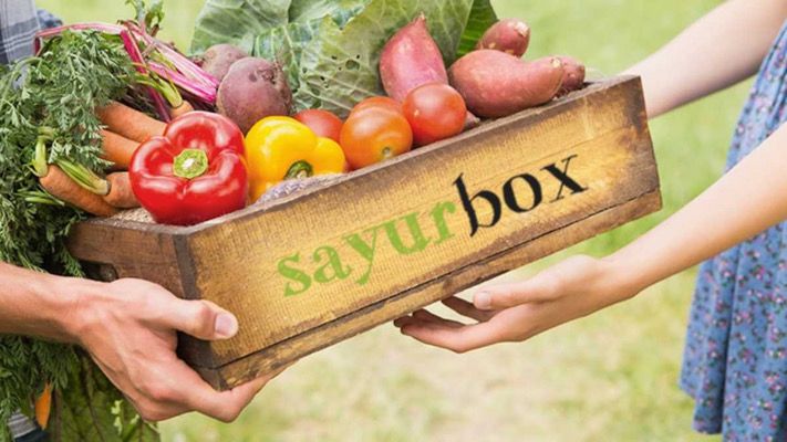 Sayurbox PHK 5 Persen Karyawan demi Keberlanjutan Bisnis