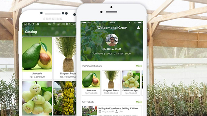 iGrow siap ambil langkah hukum ke borrower bandel